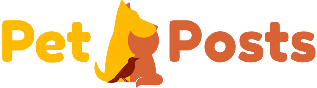 PetPosts | Loja