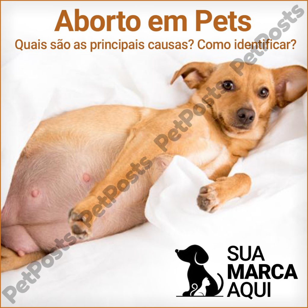 PetPosts | Loja